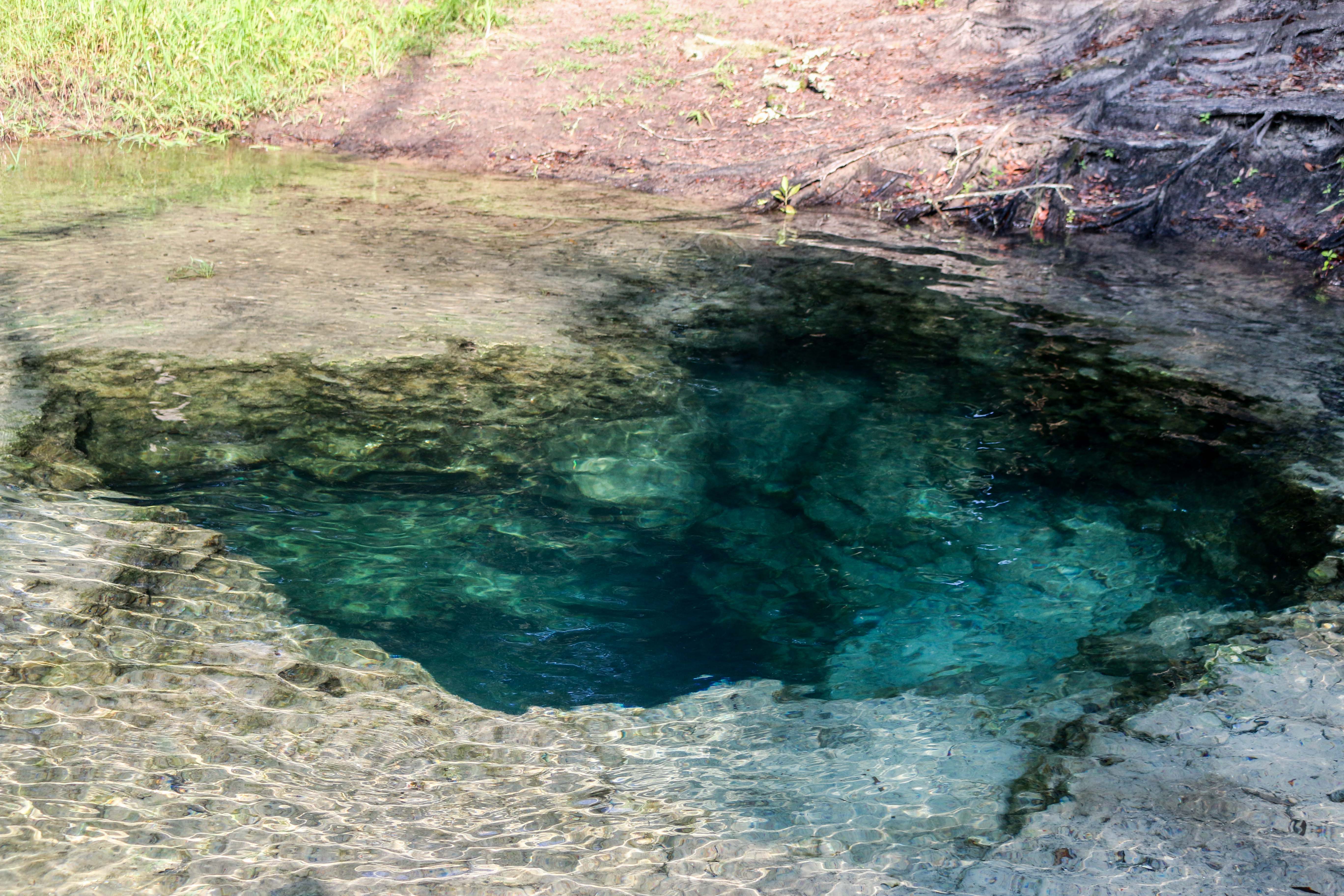Exploring the Florida Springs – One World, Two Feet