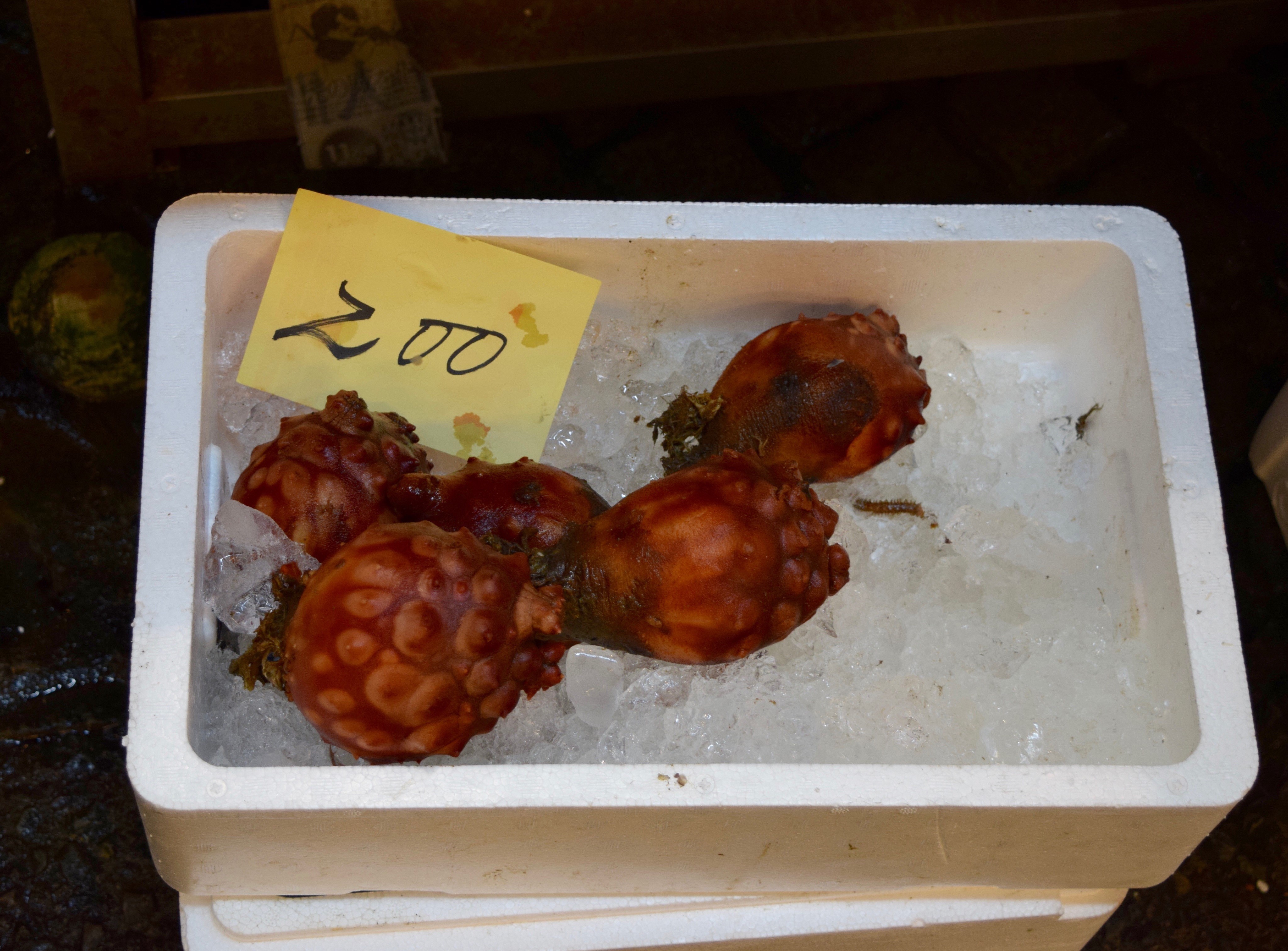 One Fish, Two Fish, Red Fish, Haiku Fish – One World, Two Feet